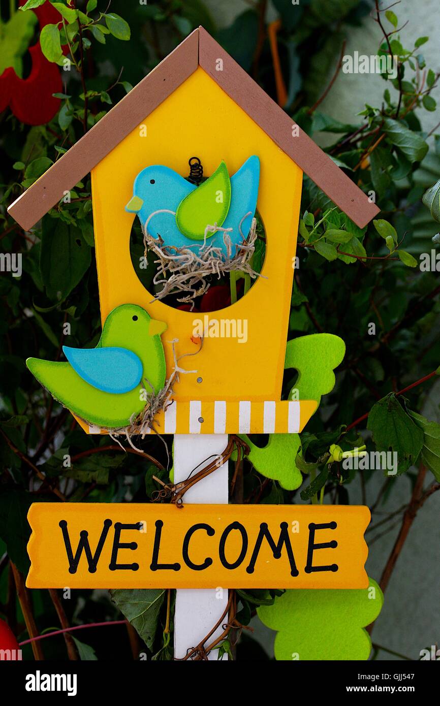 at home bird birds Stock Photo - Alamy