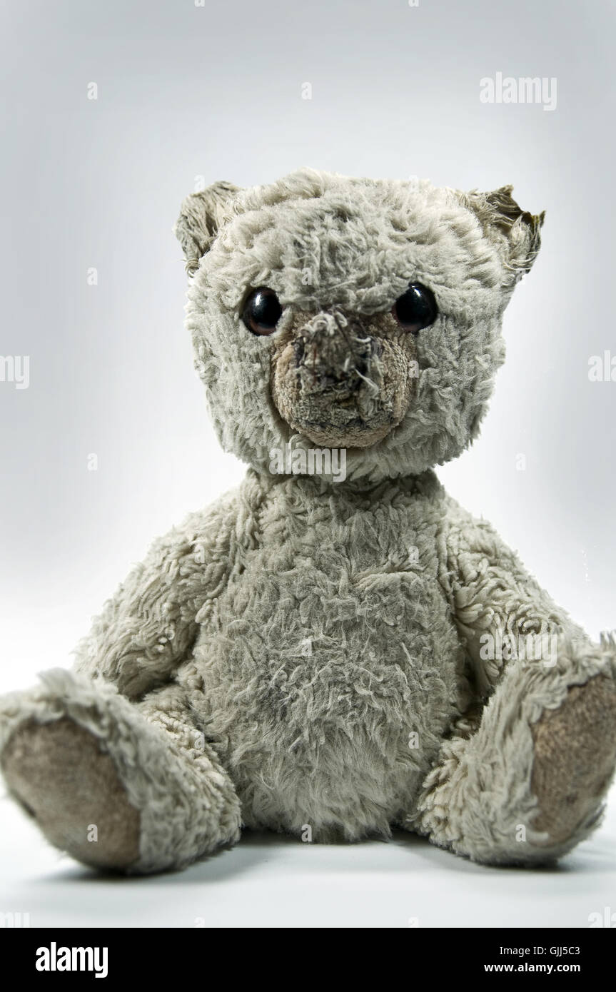 Small bear pet hi-res stock photography and images - Alamy