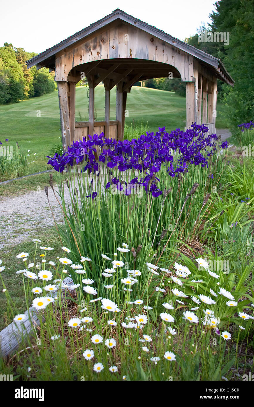 Trees and bridge hi-res stock photography and images - Alamy