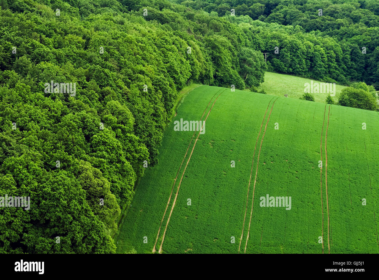 green agriculture farming Stock Photo - Alamy