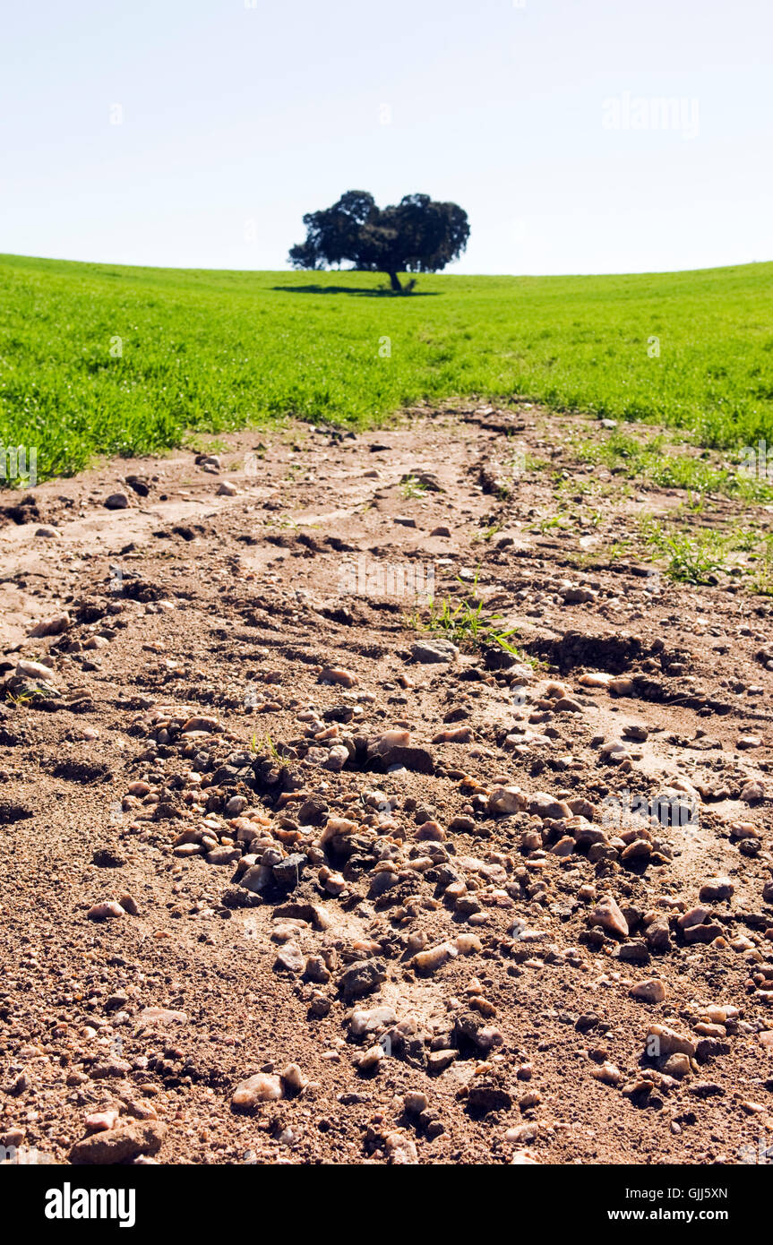 Runoff soil erosion hi-res stock photography and images - Alamy