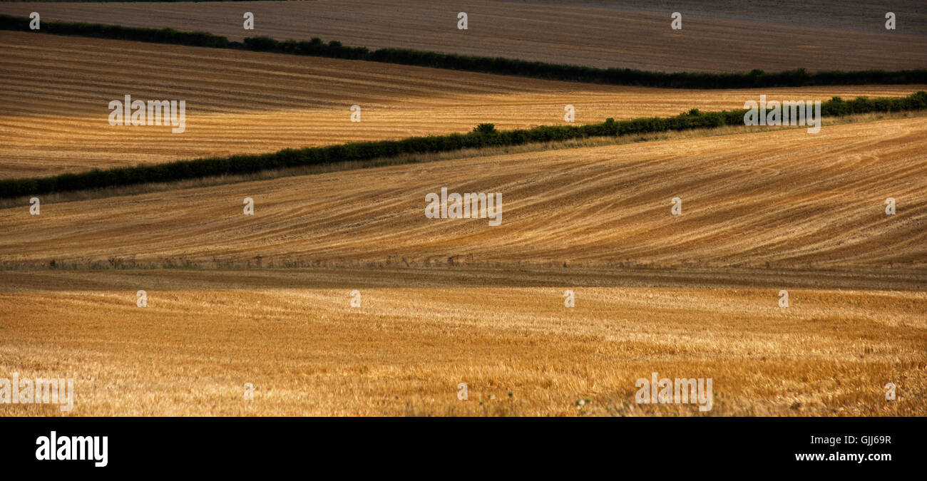 Chrishall essex hi-res stock photography and images - Alamy