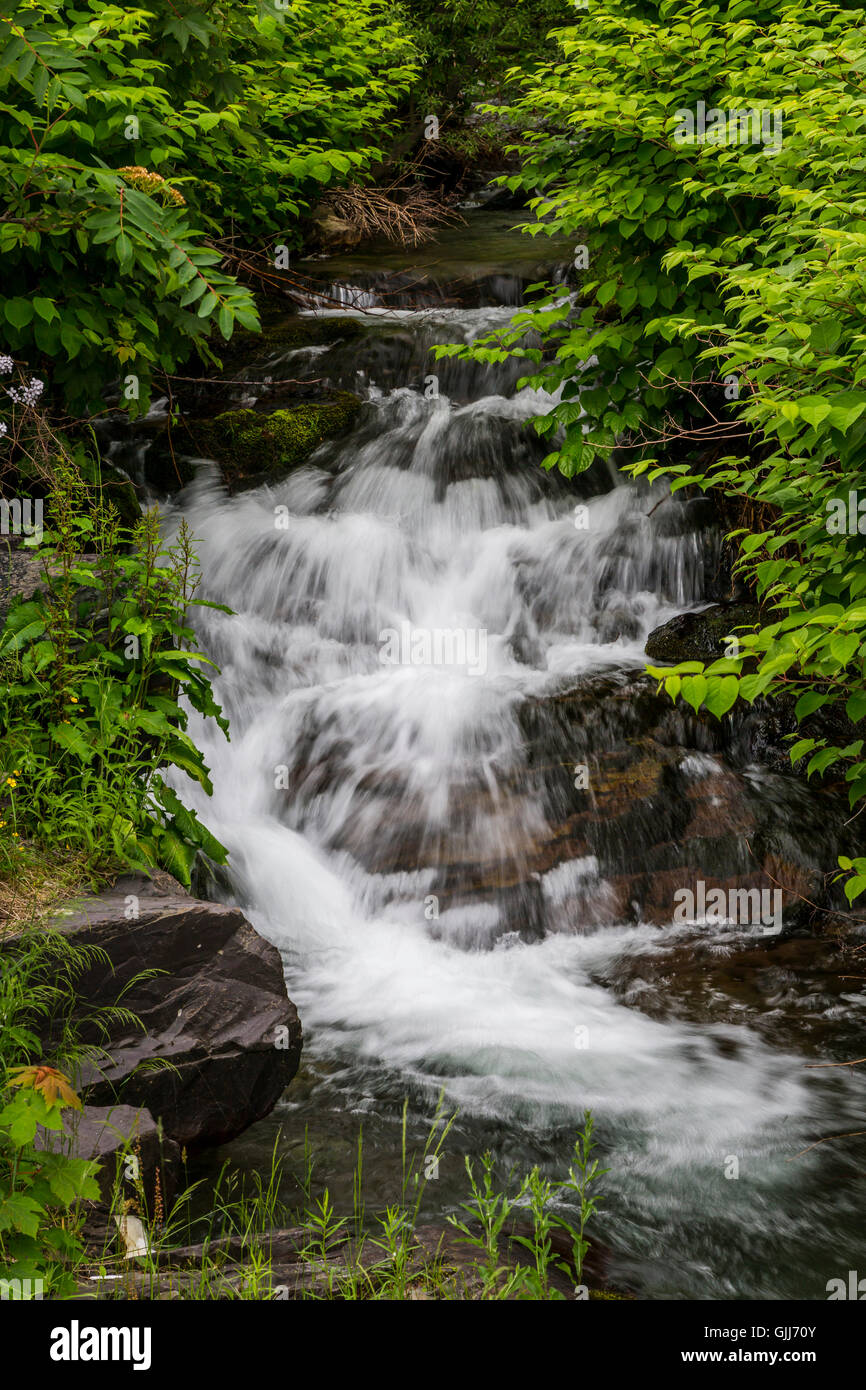 A small waterfall near Bay Roberts, Newfoundland and Labrador, Canada ...