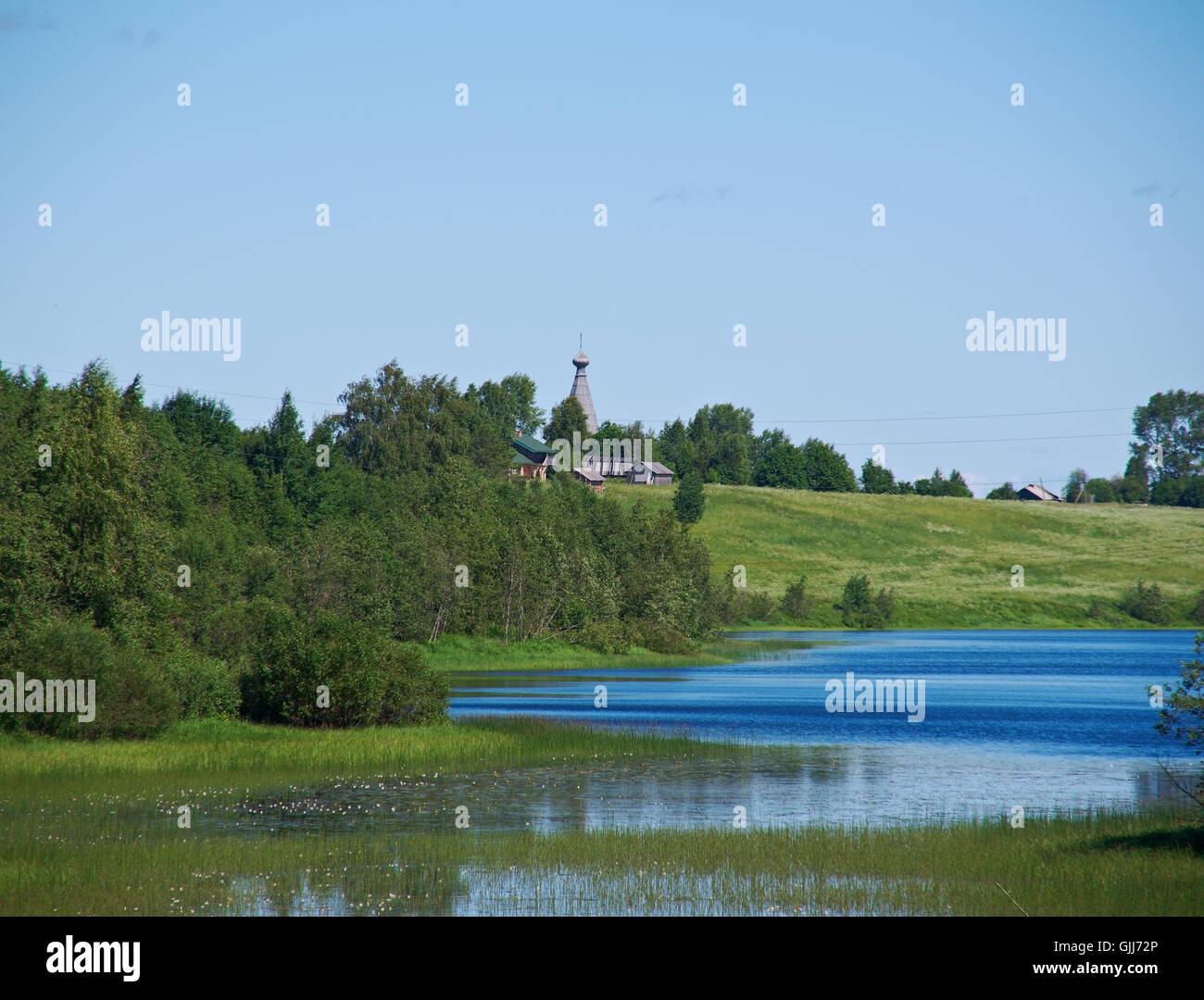 Russian summer meadow.Arkhangelsk region, Russia Stock Photo - Alamy