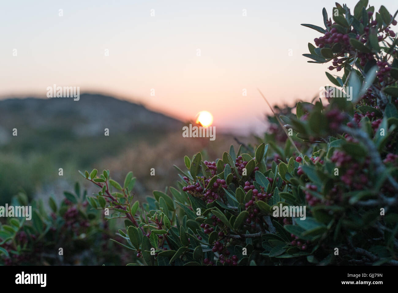 Summer sunset greece hi-res stock photography and images - Alamy
