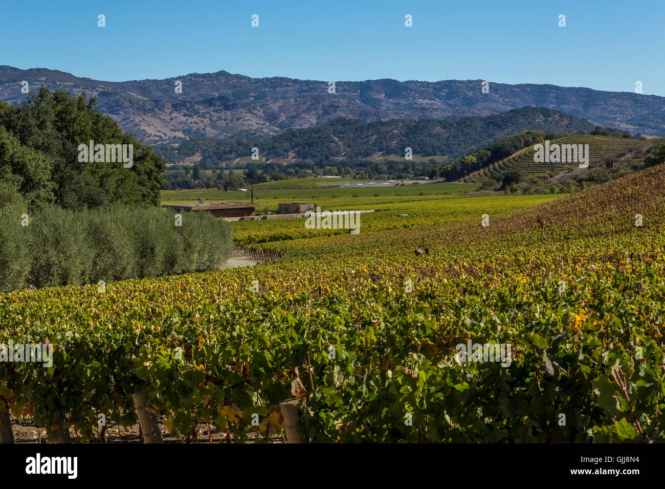 Howell mountain california hi-res stock photography and images - Alamy