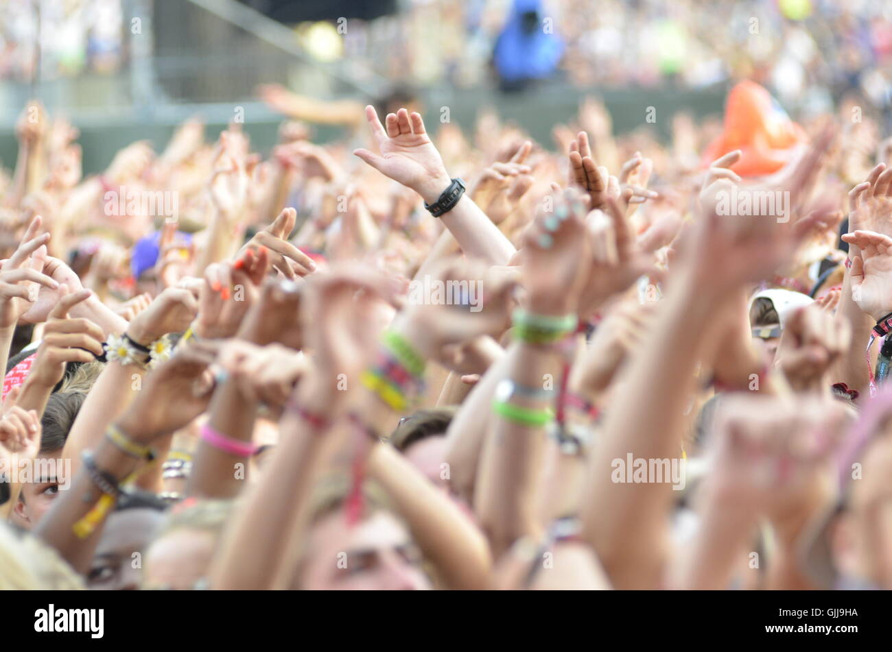 Music Fans Waving Hands in the Air at a Music Festival Stock Photo - Alamy