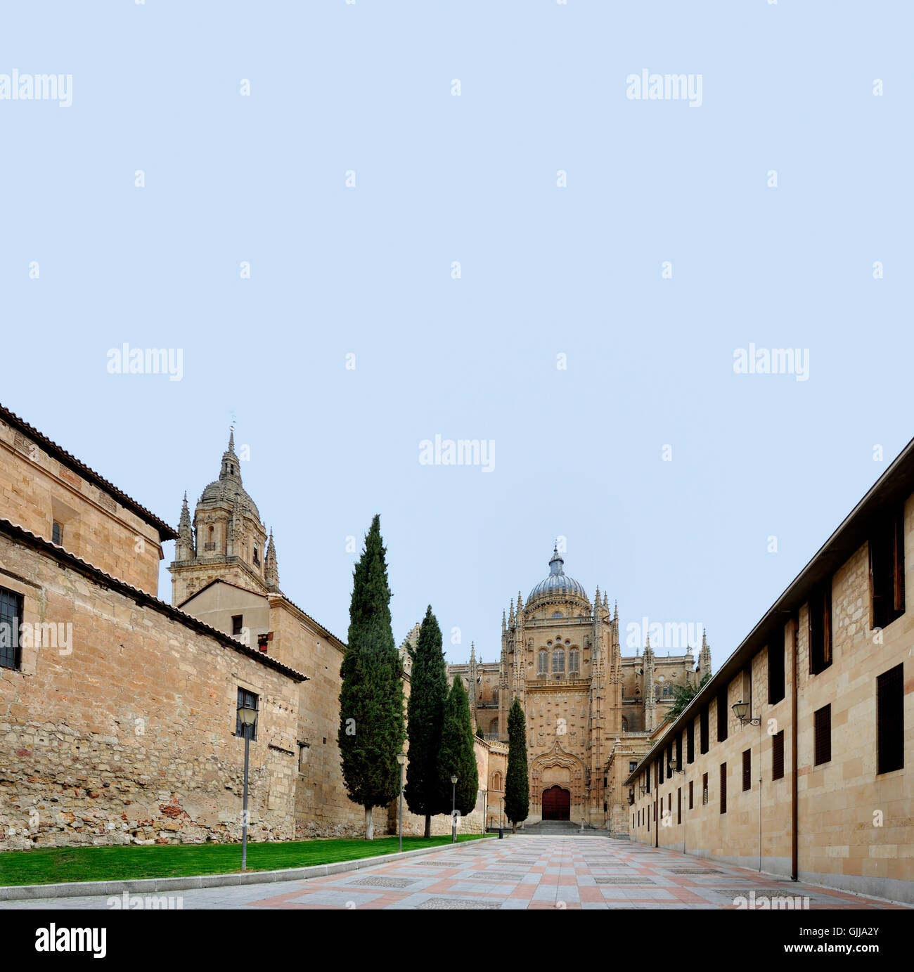 The cathedral of Salamanca. The old city of Salamanca is an Unesco ...