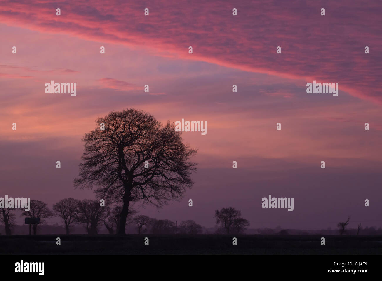 A winter's dawn over rural Norfolk countryside Stock Photo - Alamy