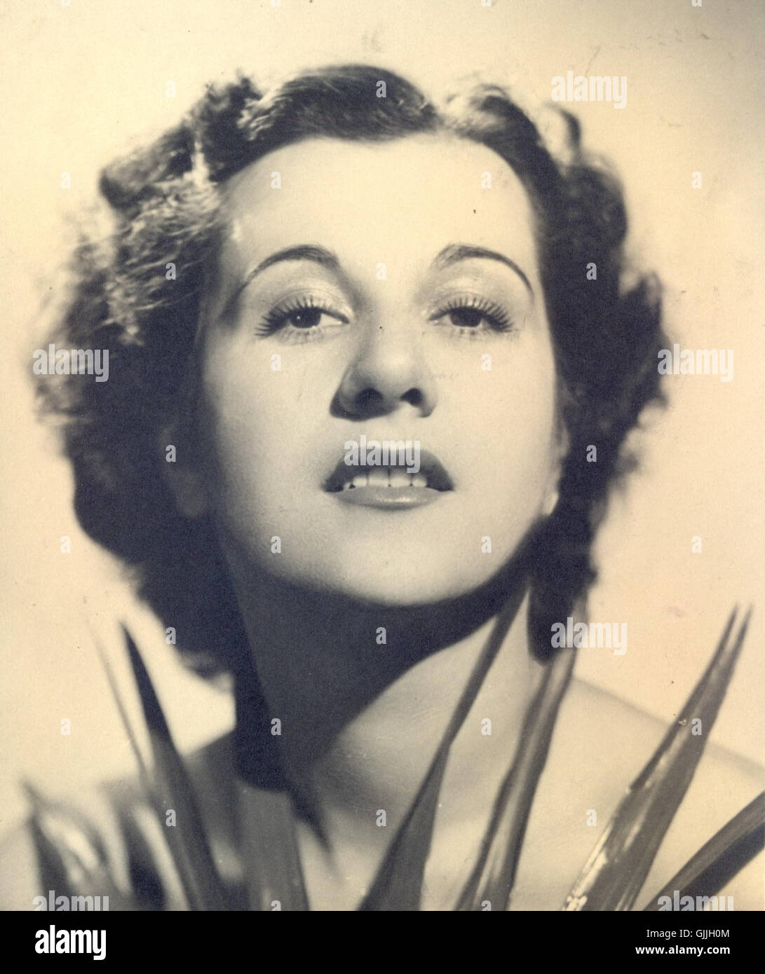 Feo image hi-res stock photography and images - Alamy