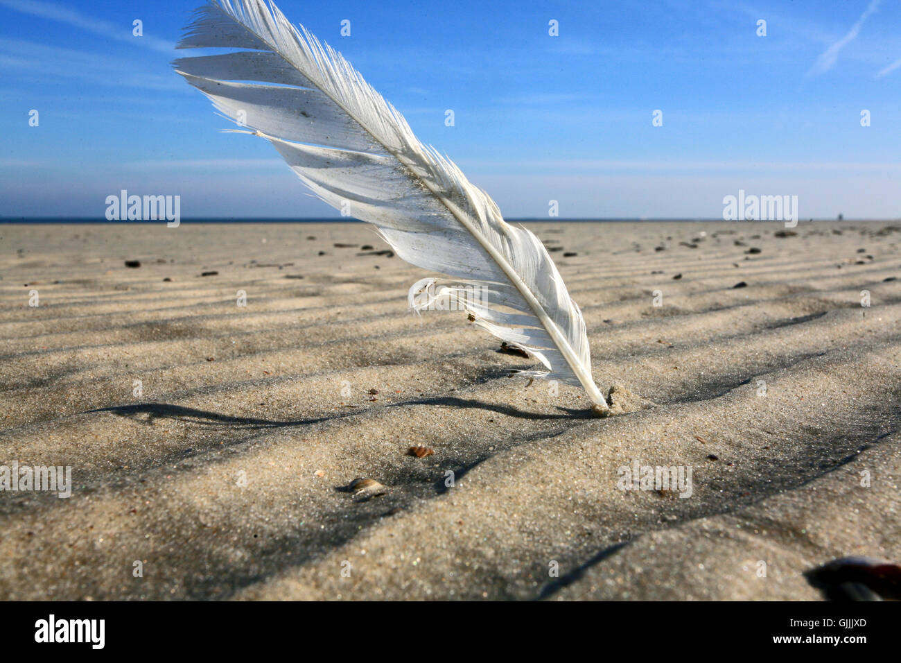still life beach seaside Stock Photo - Alamy