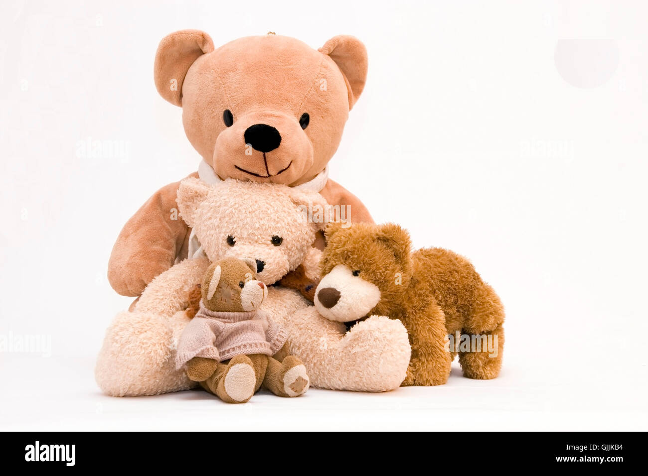 teddy laugh laughs Stock Photo - Alamy