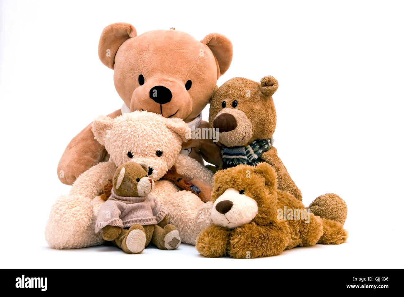 Laughing bear Cut Out Stock Images & Pictures - Alamy