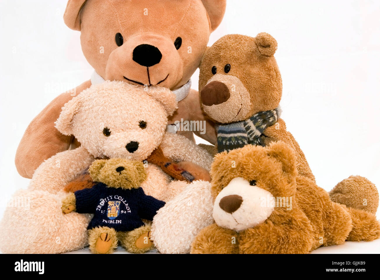 animal bear toy Stock Photo - Alamy