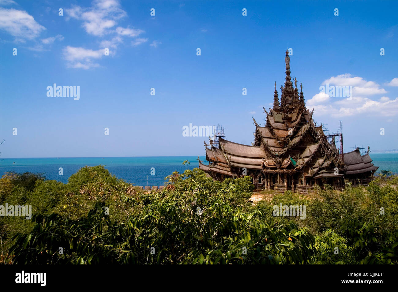 temple tree trees Stock Photo - Alamy