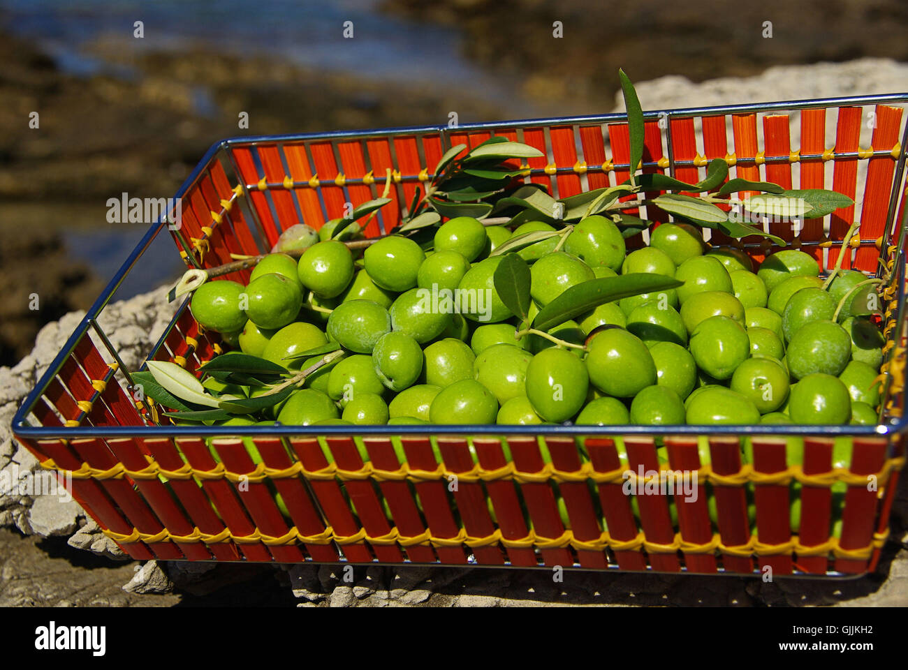 Olive coloured hi-res stock photography and images - Alamy
