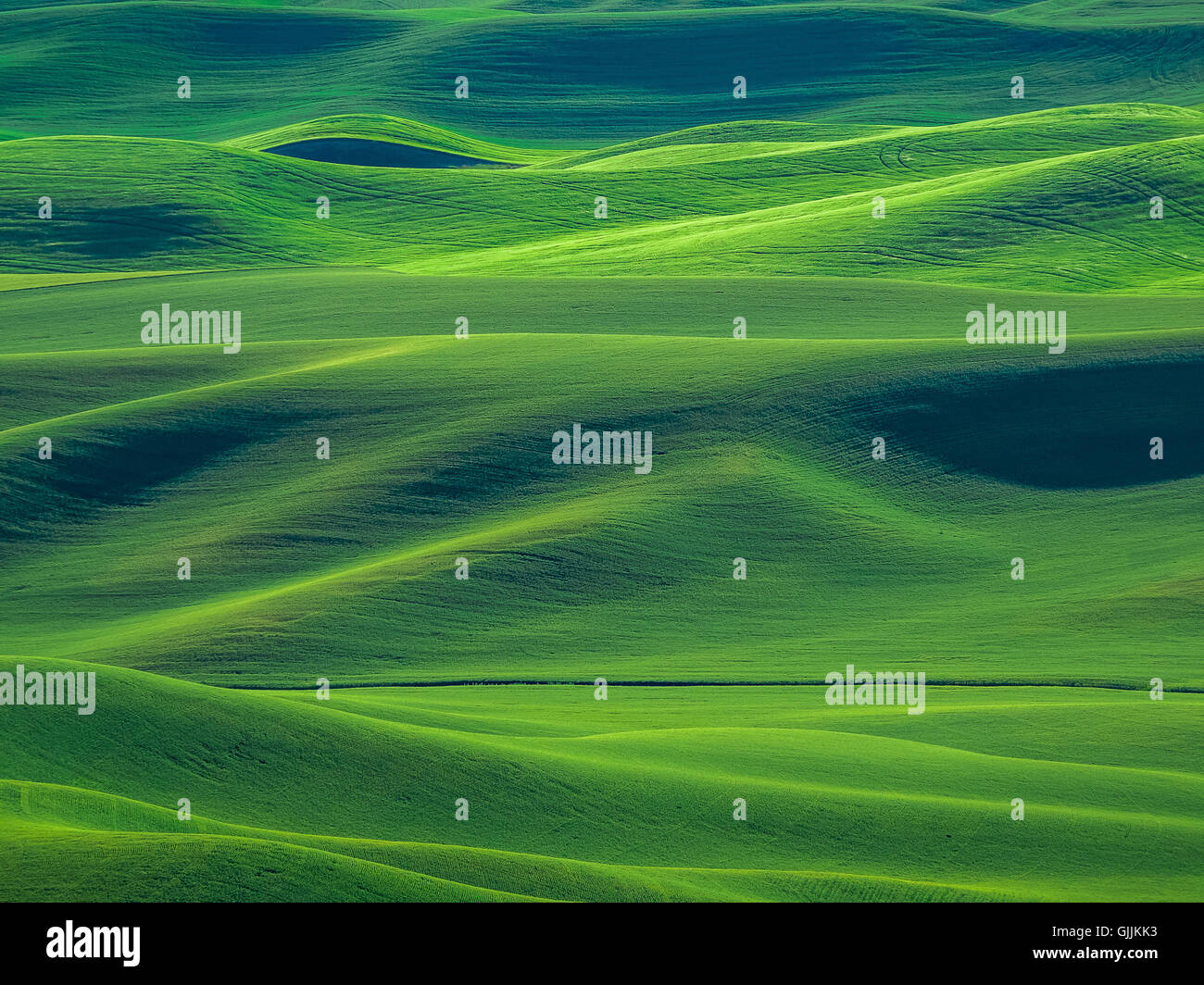 Palouse region hi-res stock photography and images - Alamy