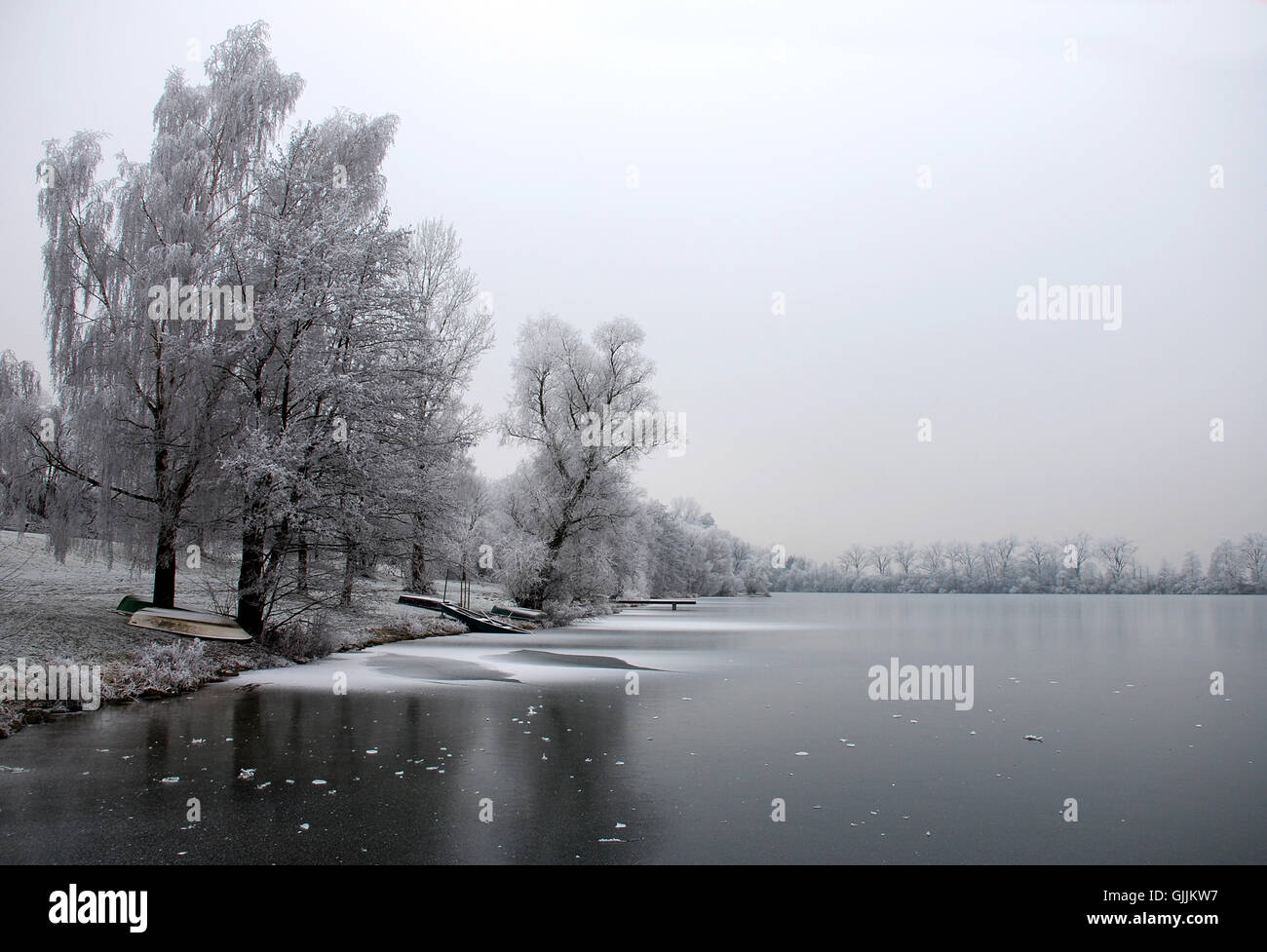 Trees in hibernation hi-res stock photography and images - Alamy