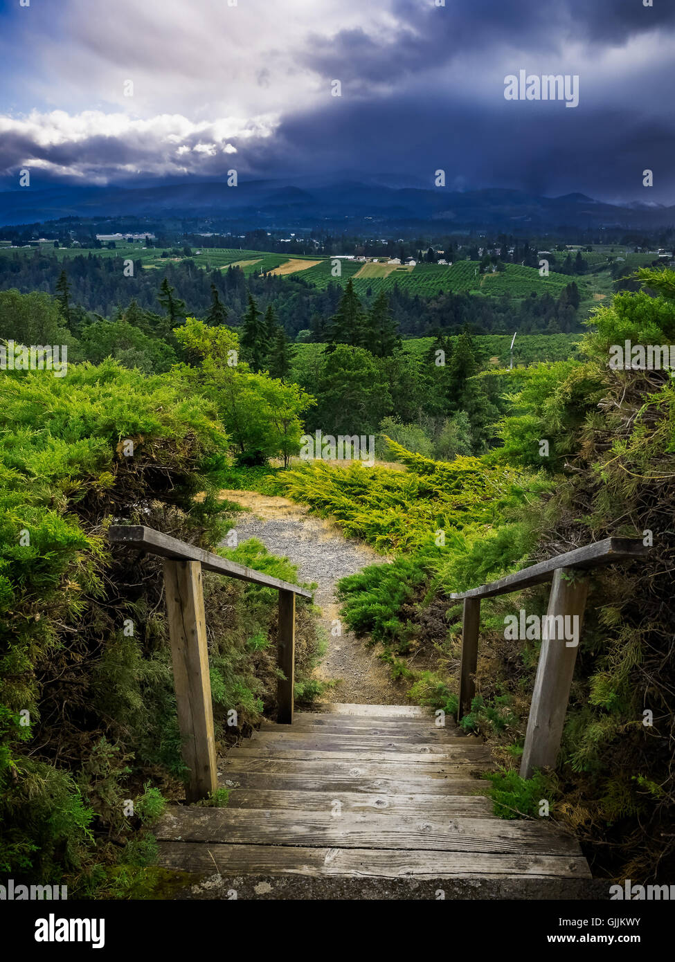 Wooden steps hi-res stock photography and images - Alamy