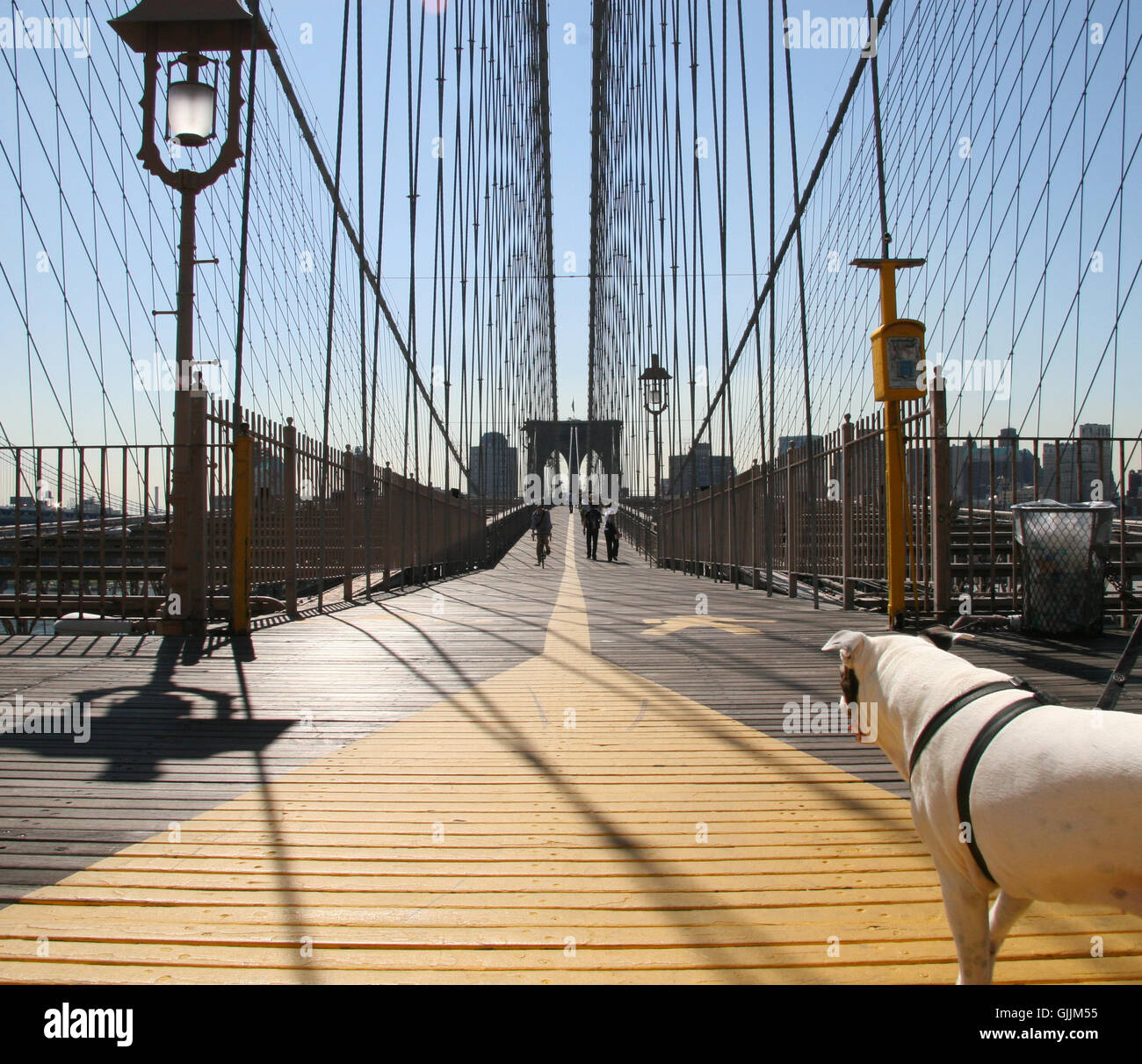 blue bridge dog Stock Photo - Alamy