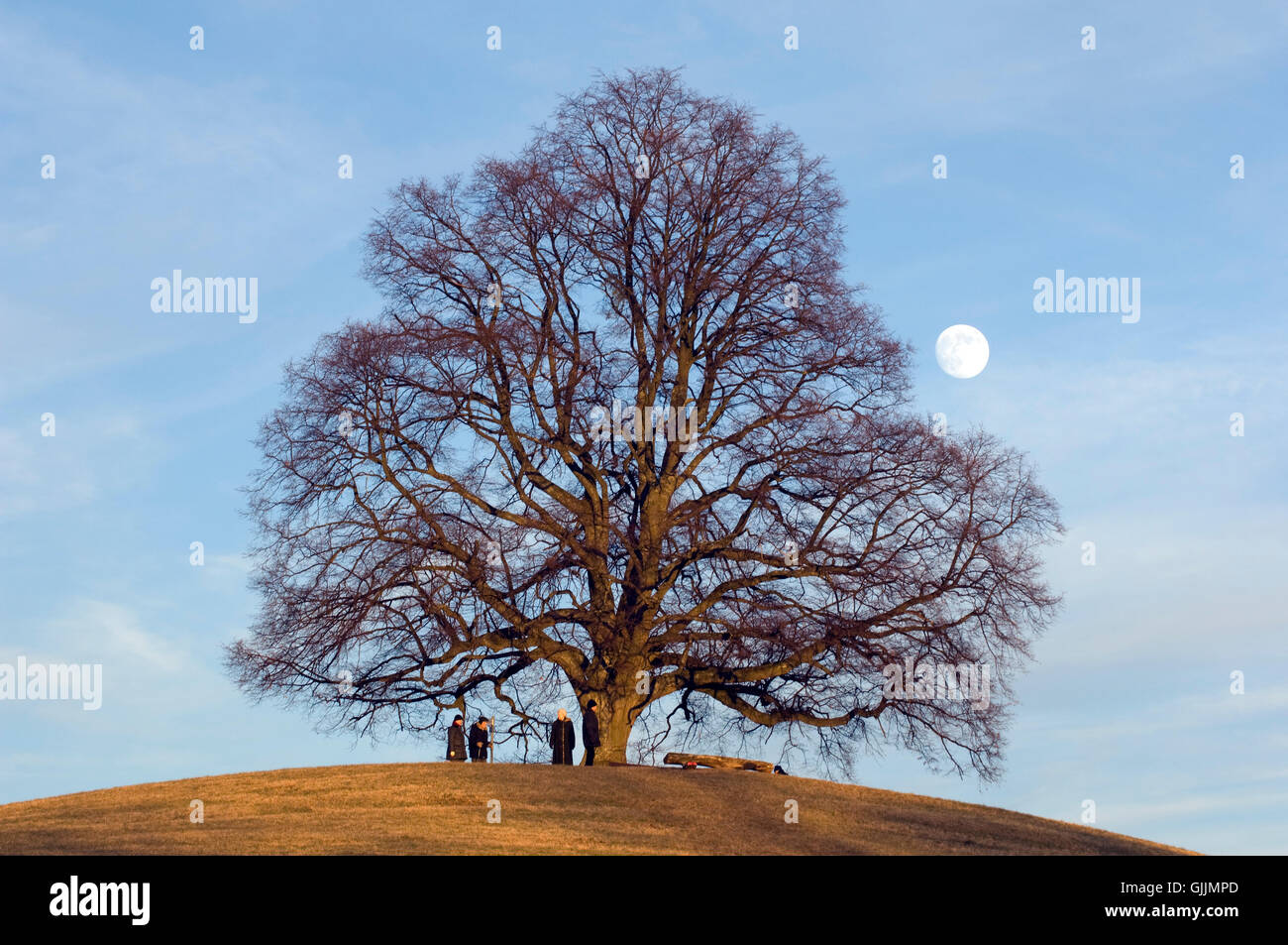 Winter full moon hi-res stock photography and images - Alamy