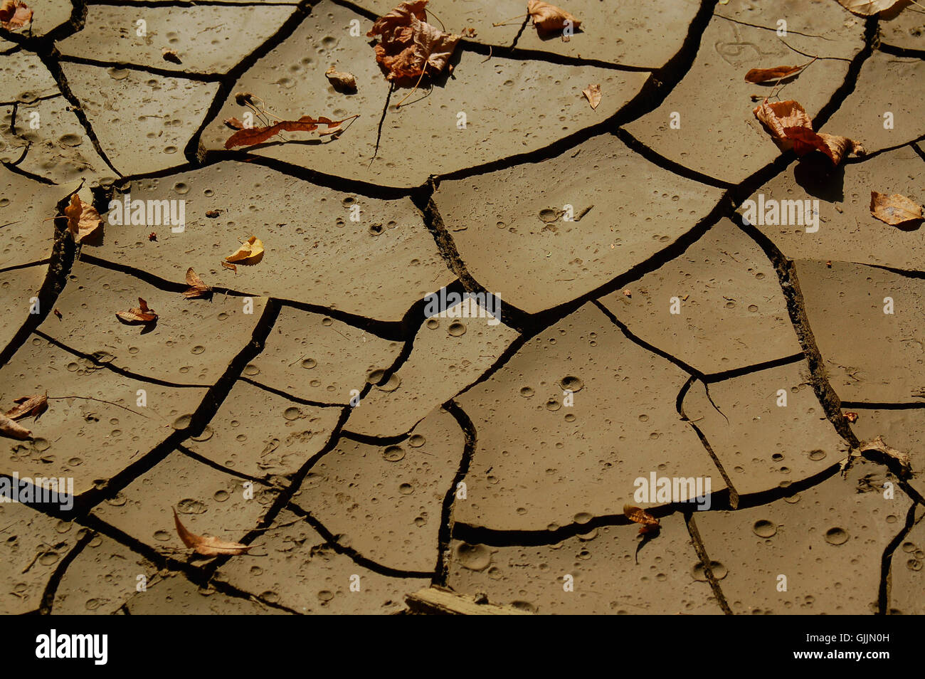 dryness drought mud Stock Photo - Alamy