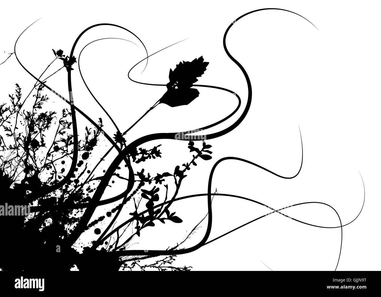 Mono leaf hi-res stock photography and images - Alamy