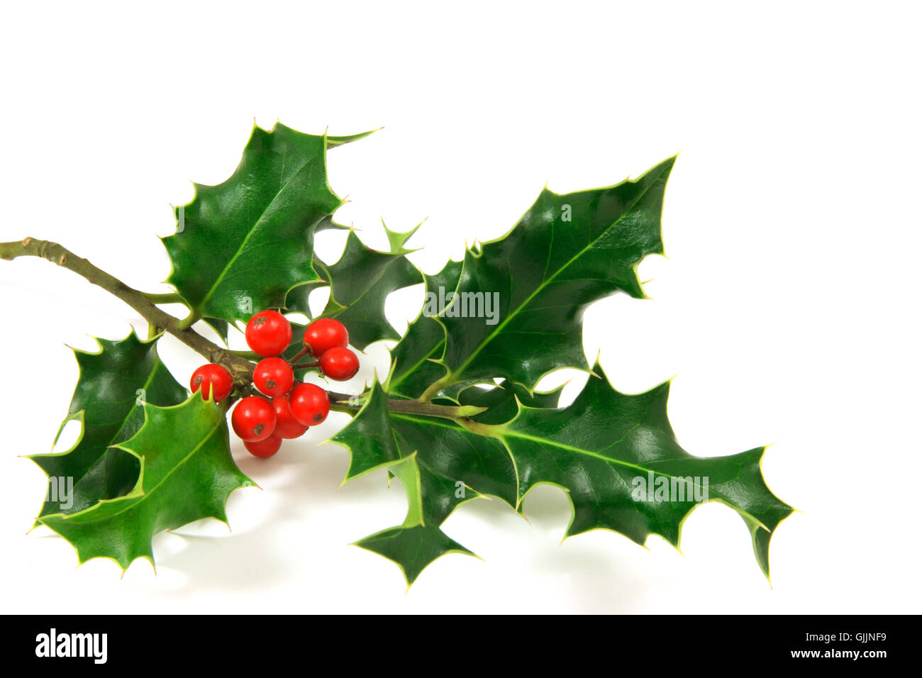 Green leaves decoration hi-res stock photography and images - Alamy