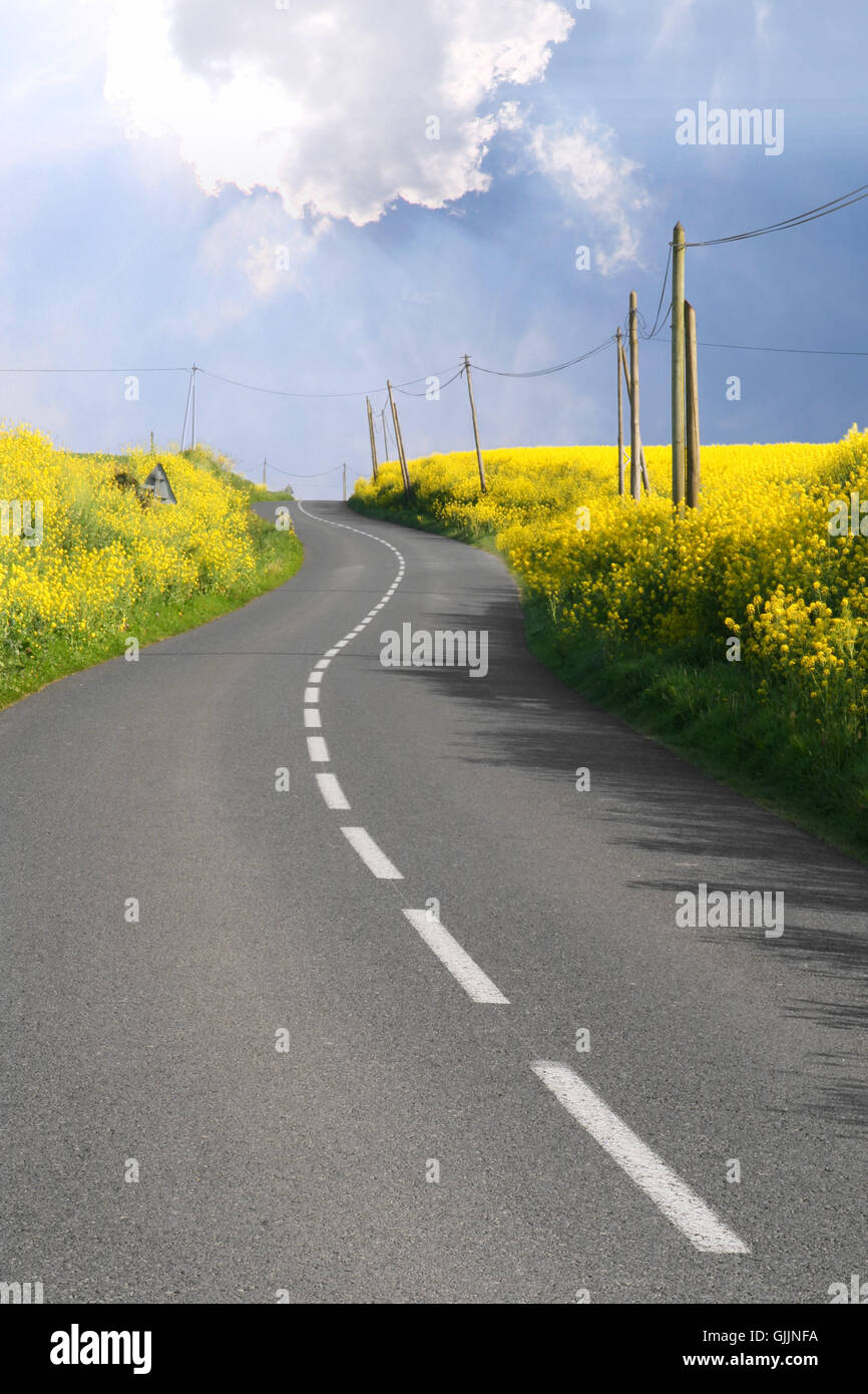 environment enviroment flower Stock Photo - Alamy