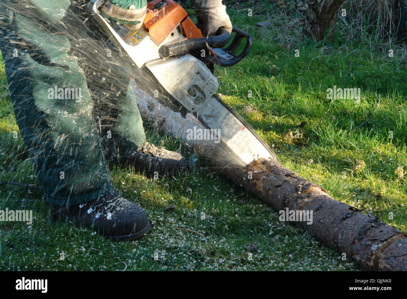 Legs trunk shoes hi-res stock photography and images - Alamy