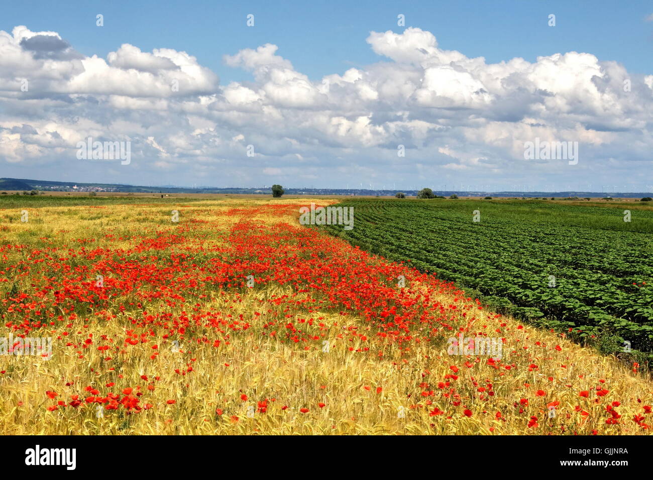 agrarian agriculture farming Stock Photo - Alamy