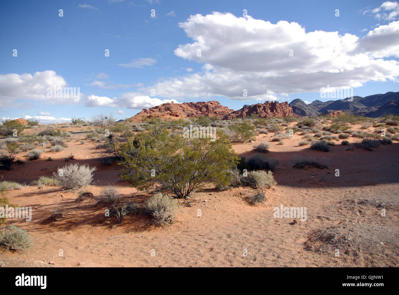 Nevada desert mountain hi-res stock photography and images - Alamy