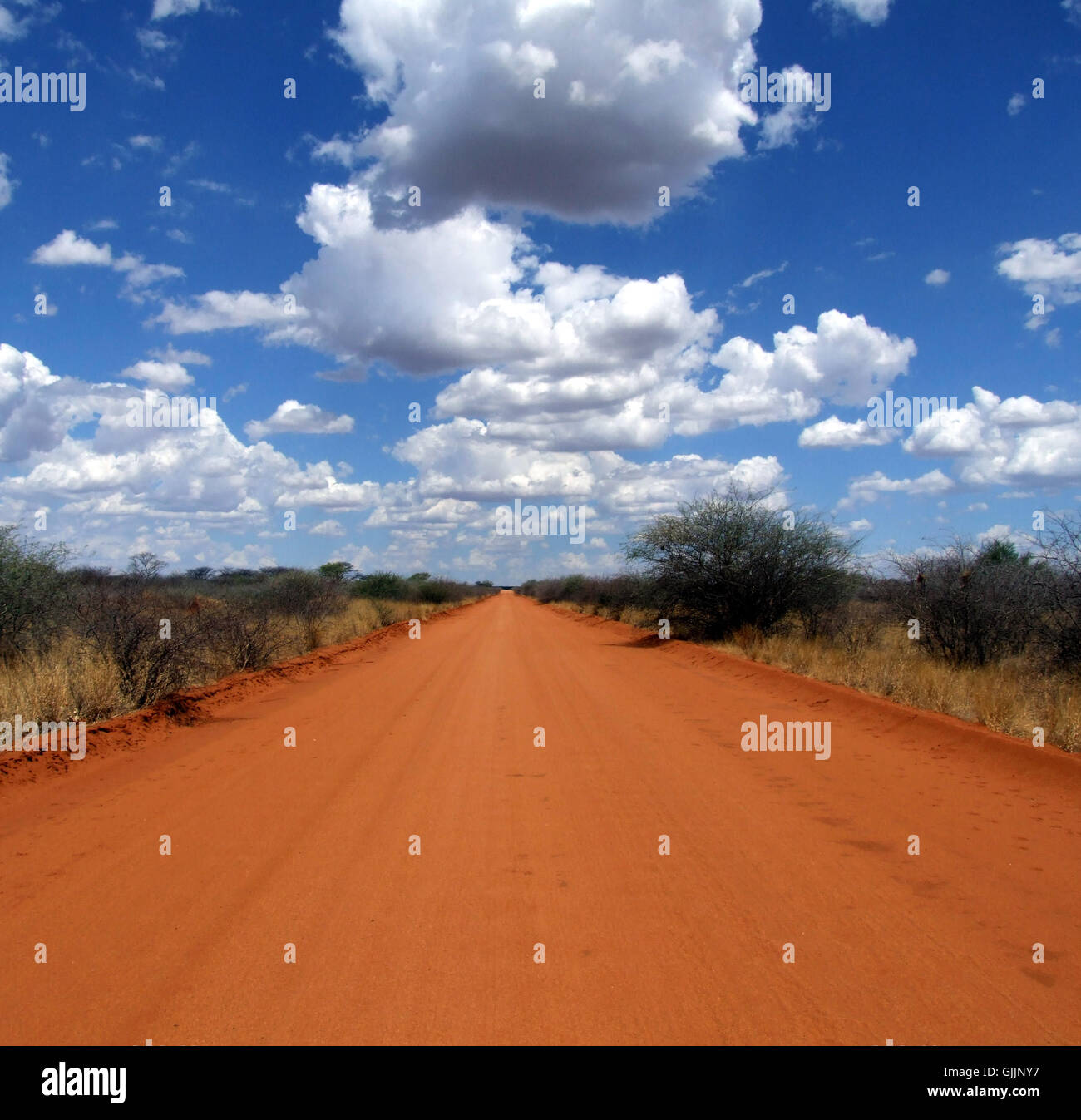 desert wasteland track Stock Photo - Alamy