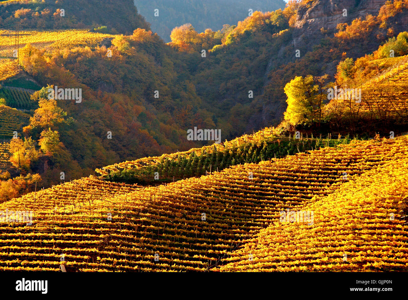 Yellow coloured hill hi-res stock photography and images - Alamy