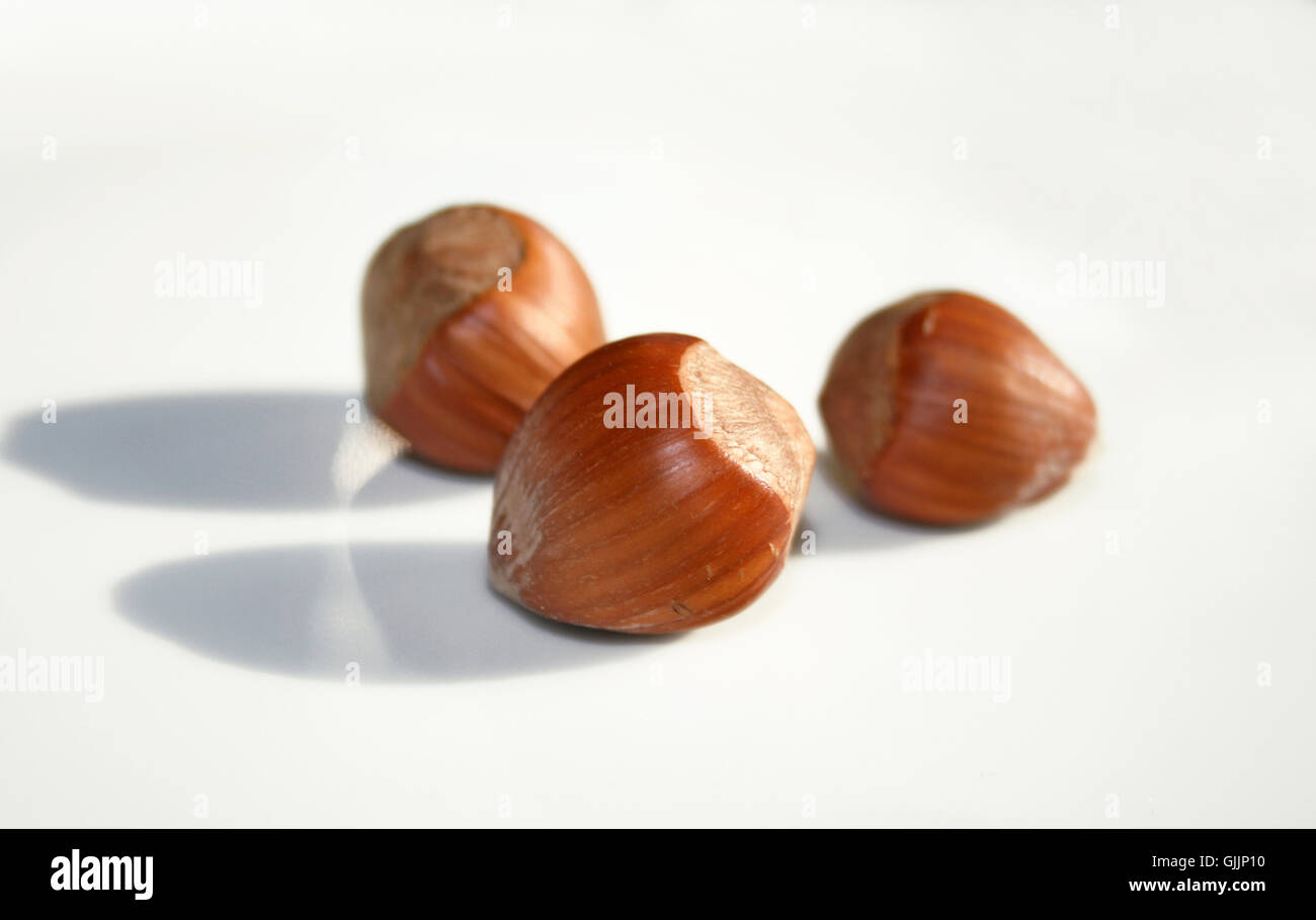 fruit three nuts Stock Photo - Alamy