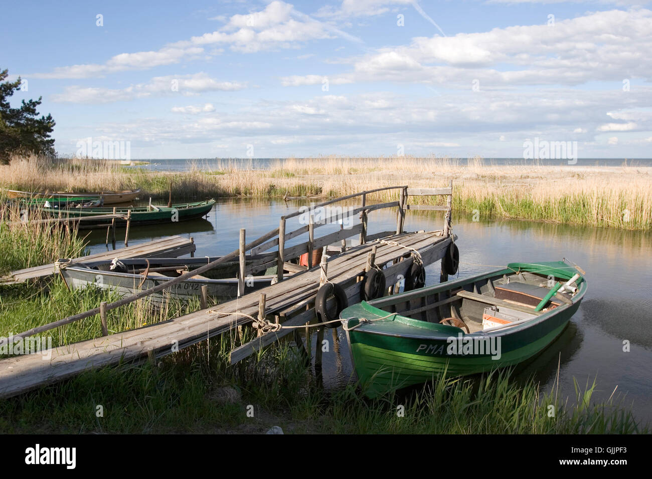 Rudder fish hi-res stock photography and images - Alamy