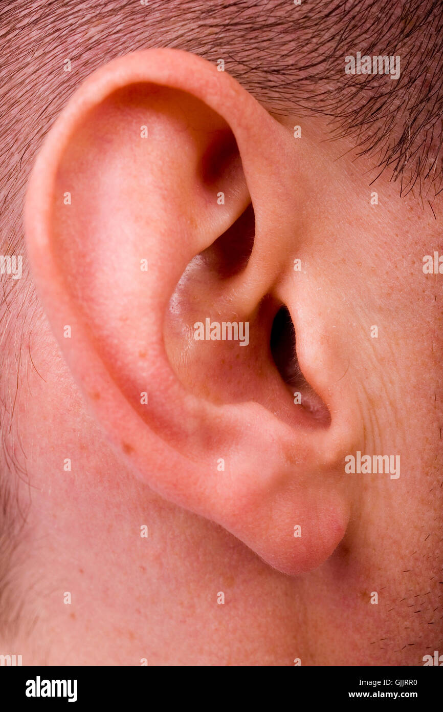 Sinneskanal hi-res stock photography and images - Alamy