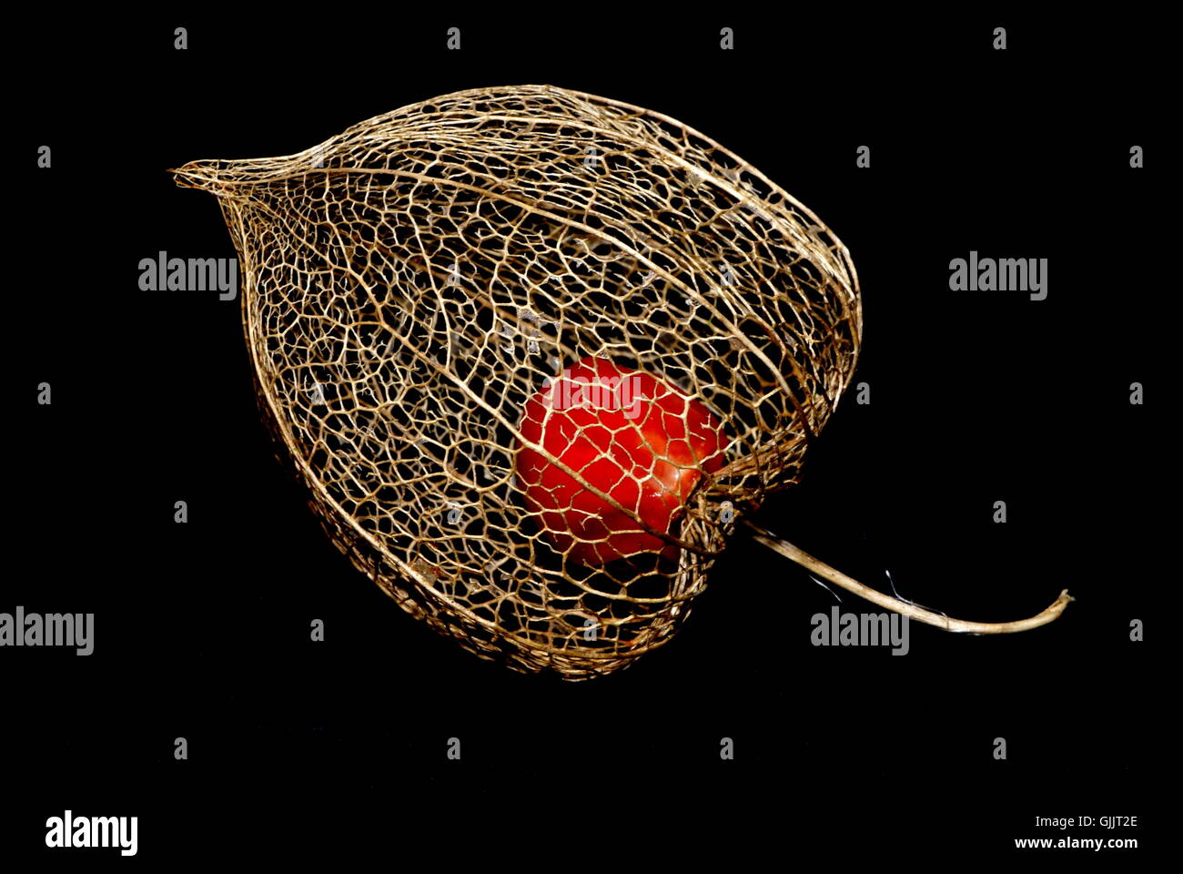 Prisoners view hi-res stock photography and images - Alamy