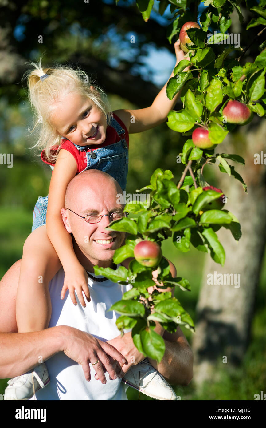 apple tree apples apple Stock Photo - Alamy