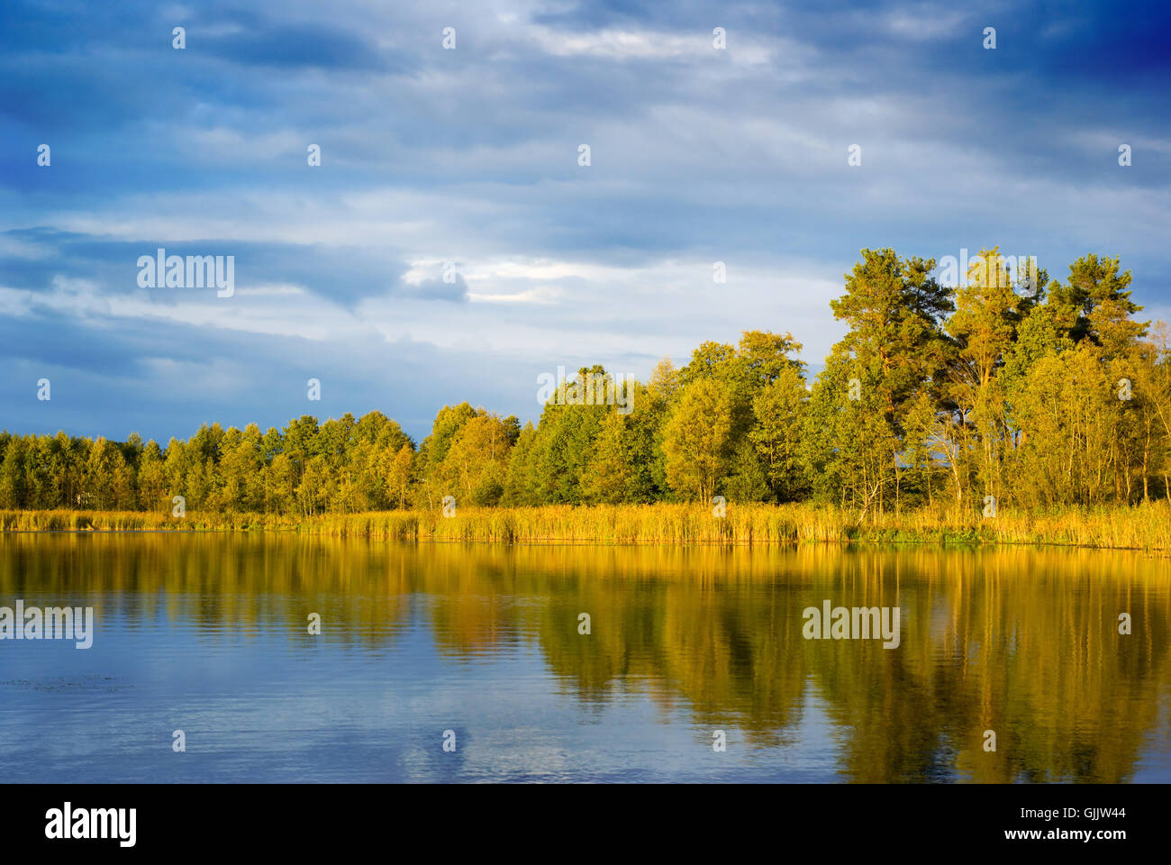 lakeside fresh water lake Stock Photo - Alamy