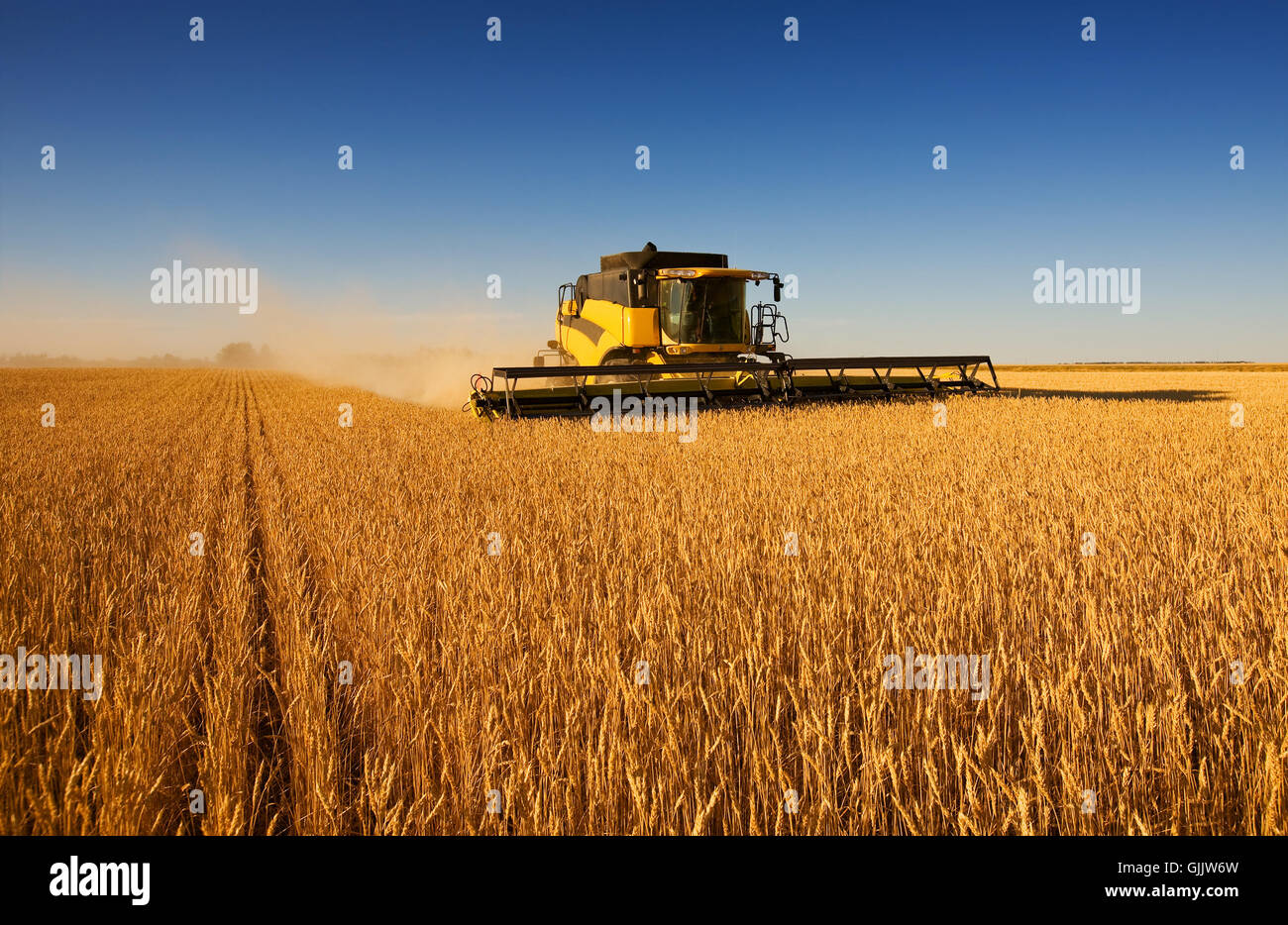 agriculture farming harvest Stock Photo - Alamy