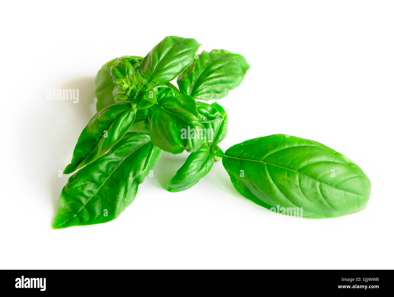 Italian cuisine ingredients garden hi-res stock photography and images ...