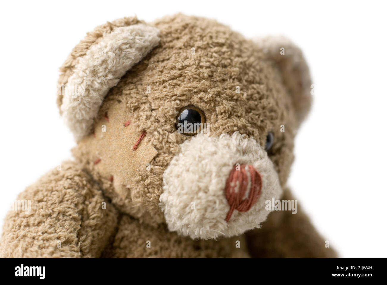 Teddy bear view hi-res stock photography and images - Alamy