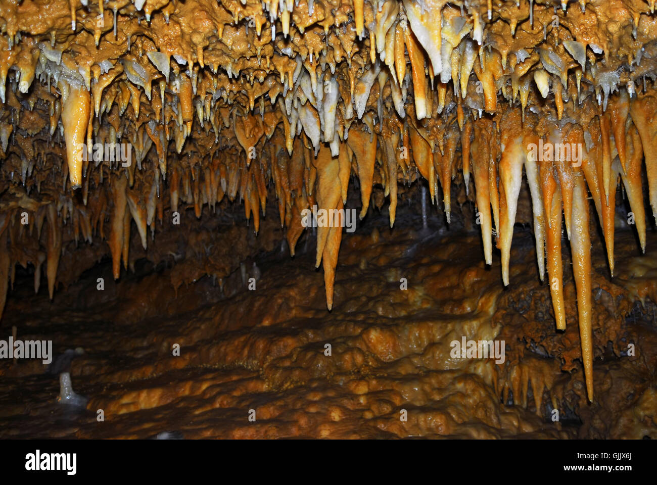 Palaeolithic caves hi-res stock photography and images - Alamy