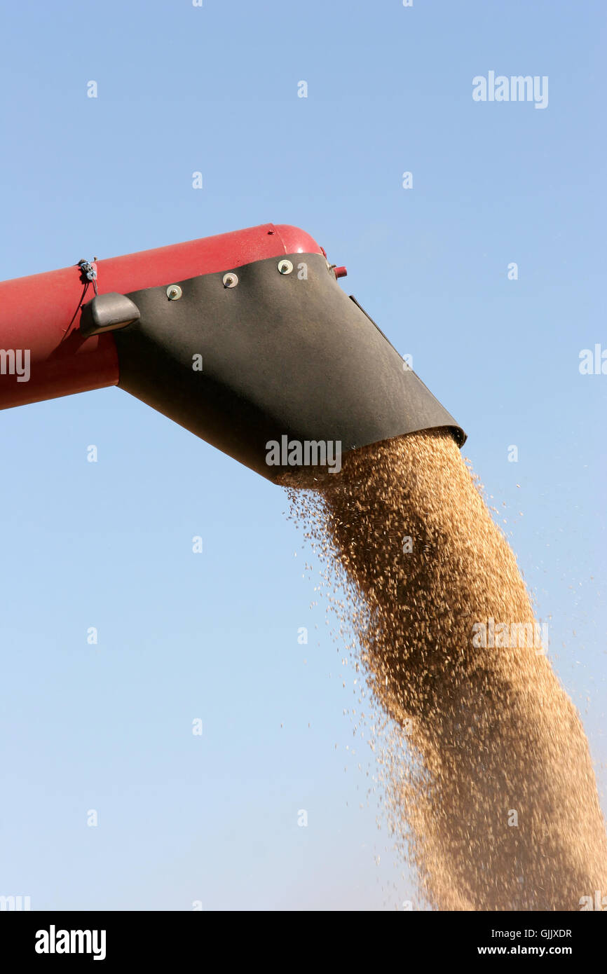 Food aliment agricultural industry hi-res stock photography and images ...