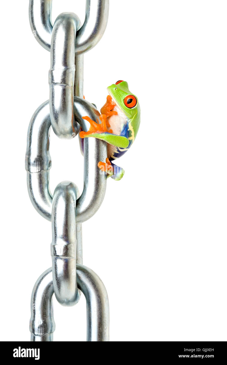 isolated green chain Stock Photo - Alamy