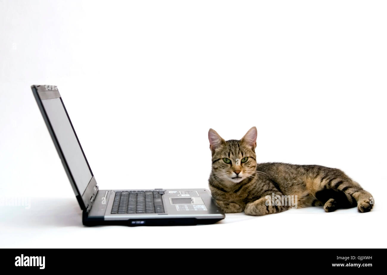 laptop notebook computers Stock Photo - Alamy