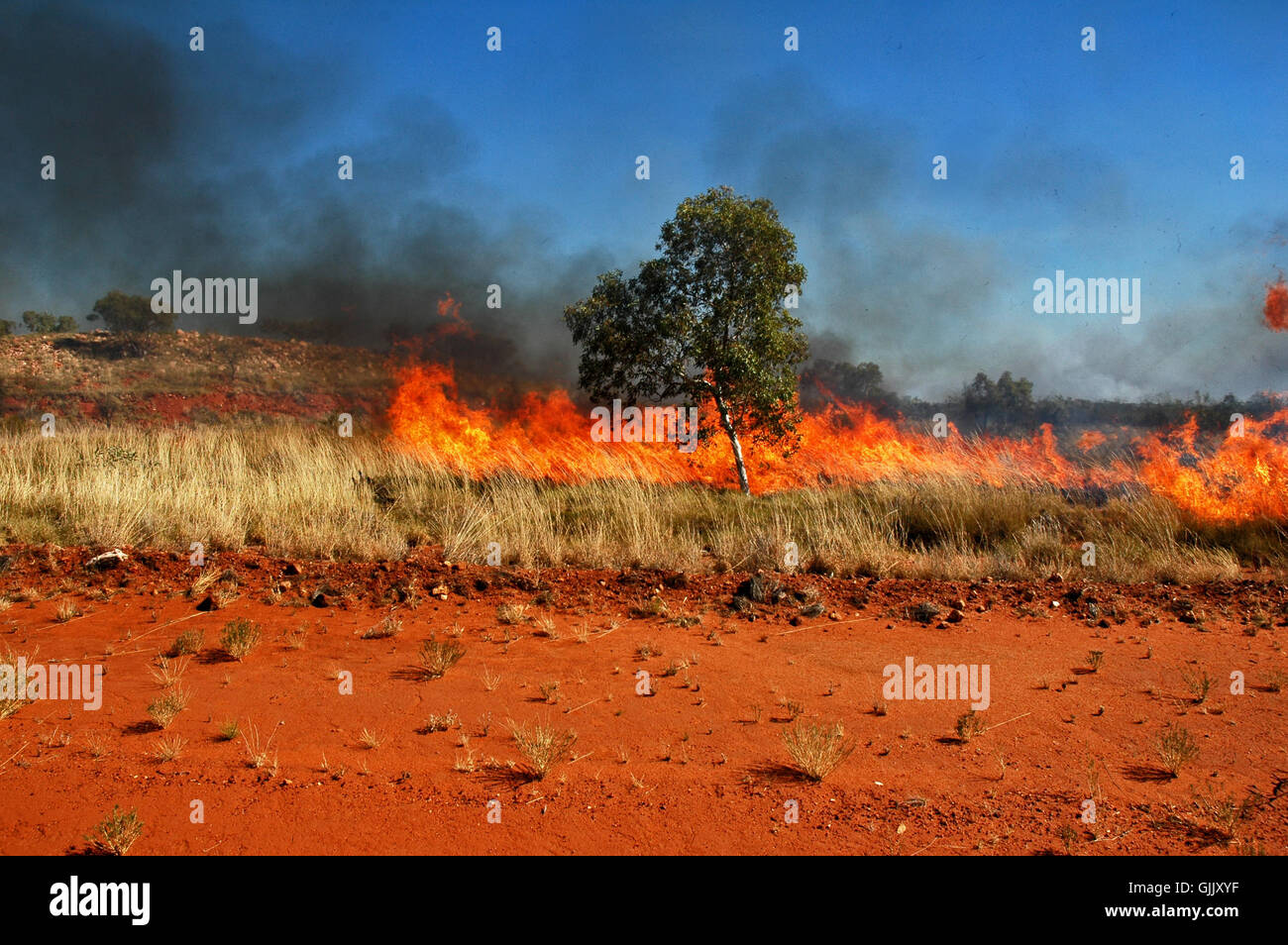 desert wasteland australia Stock Photo - Alamy