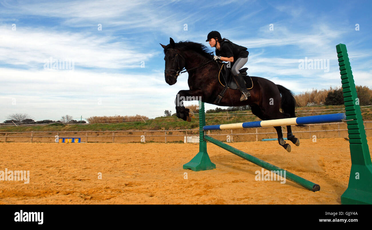 woman horse spring Stock Photo - Alamy