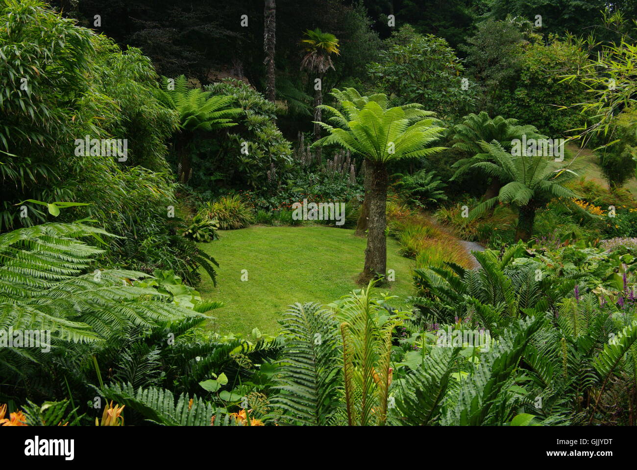 Trebah Tropical Gardens, Mawnen Smith, Cornwall, England, UK Stock ...